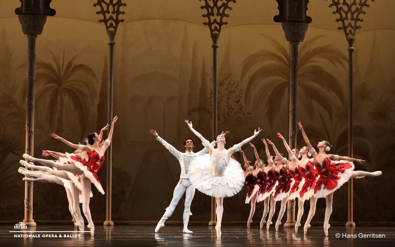 Het Nationale Ballet : Ballet National Néerlandais (Dutch)